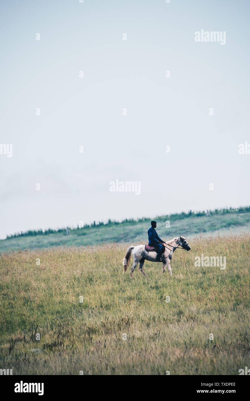 Bull riding experience hi-res stock photography and images - Alamy