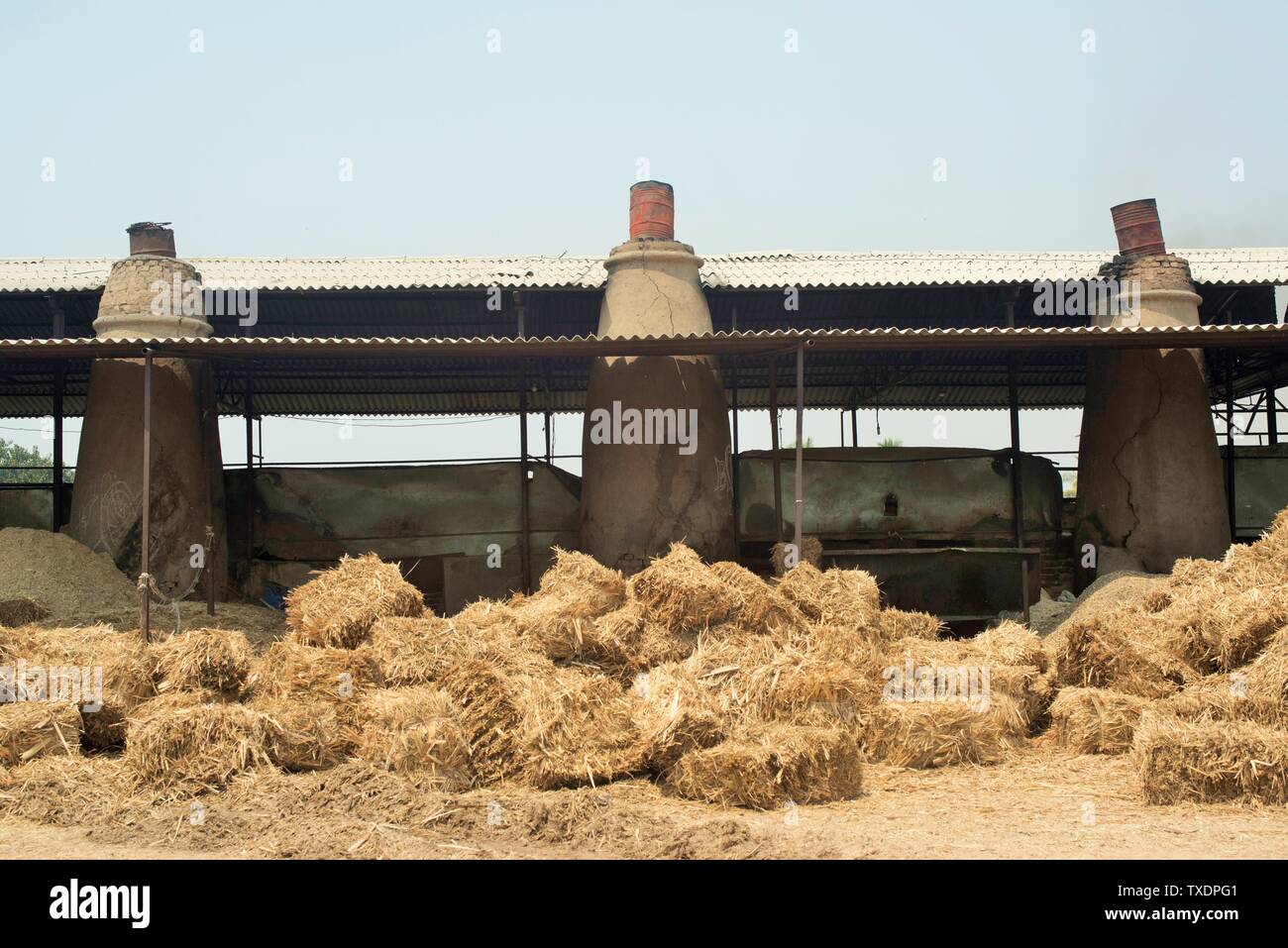Jaggery manufacturing factory, Maharashtra, India, Asia Stock Photo - Alamy