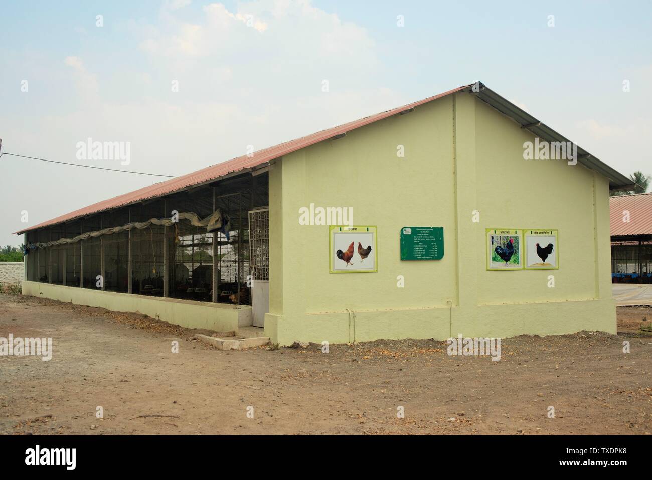 Poultry farm house, Pune, Maharashtra, India, Asia Stock Photo - Alamy