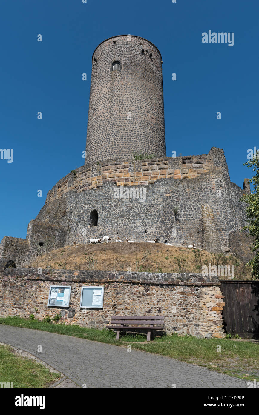 tower and wall of the ruin muenzenberg hesse germany Stock Photo - Alamy