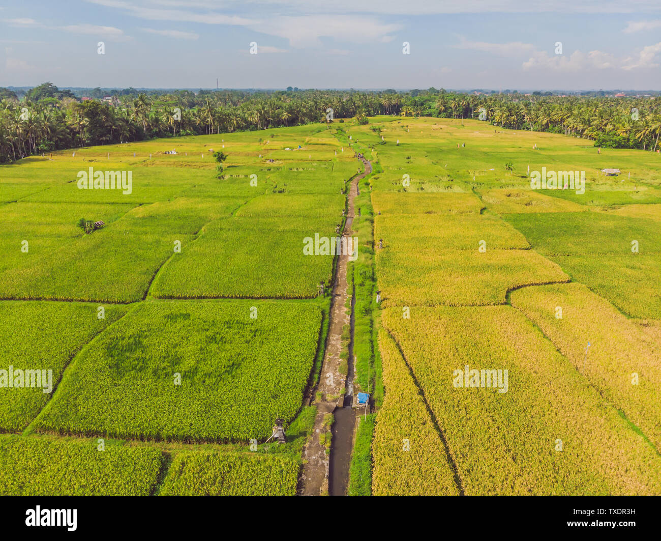 China Irrigation Terrace High Resolution Stock Photography and Images ...