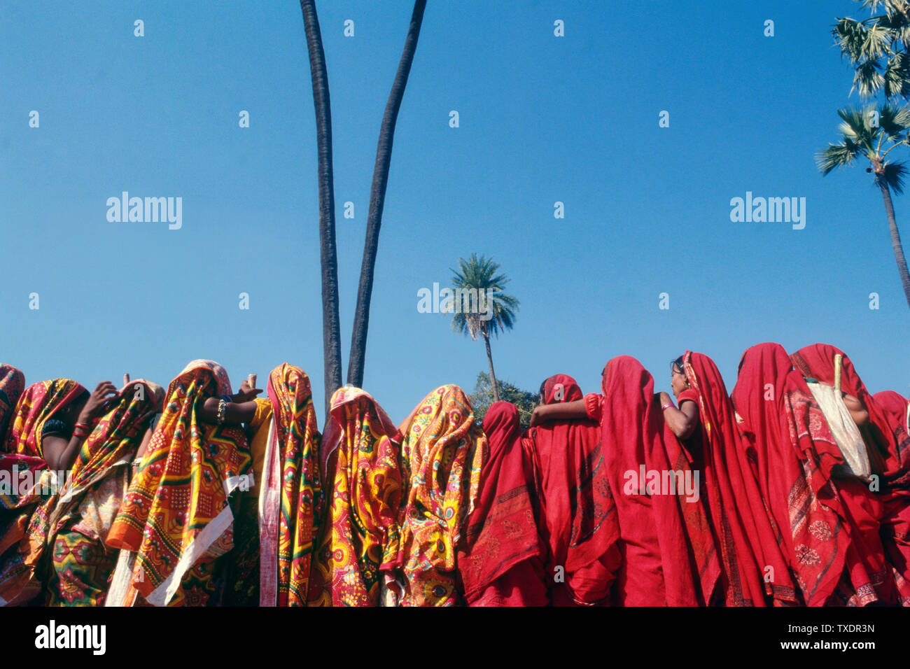 Tribal women in colourful dresses, Chhota Udaipur, Gujarat, India, Asia ...