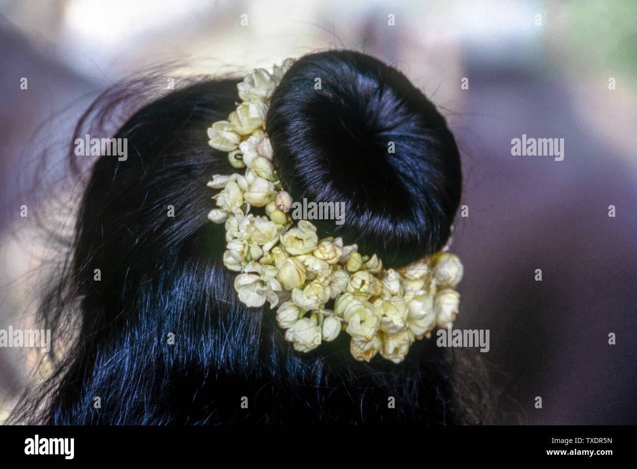 mogra flower garland on hair bun of woman, Kerala, India, Asia Stock ...