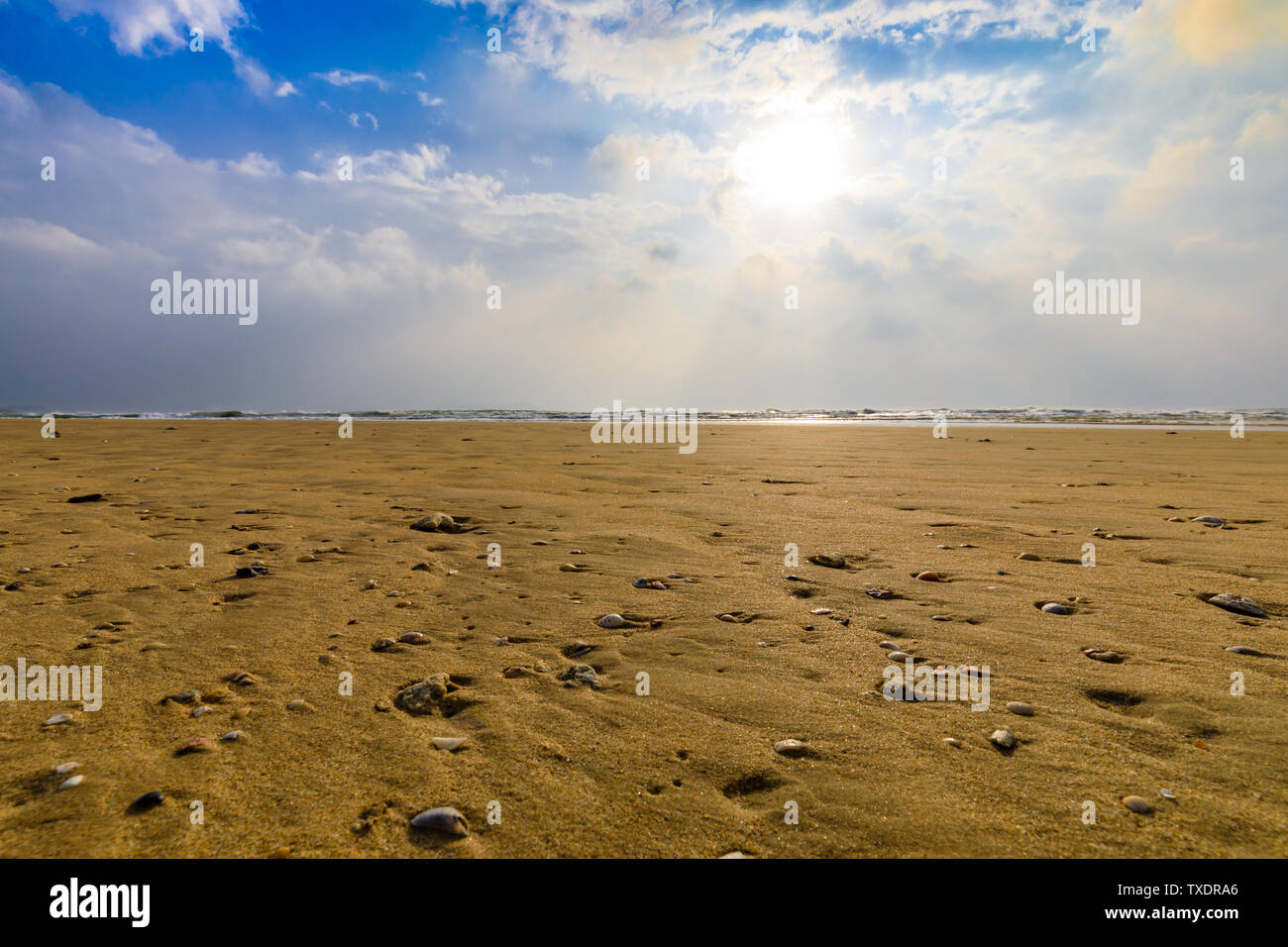 Shimei hi-res stock photography and images - Alamy