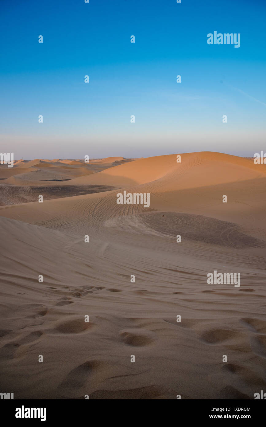 Eight Bridge in Hu Yang Lin Scenic Area of Alashan Desert, Alashan ...