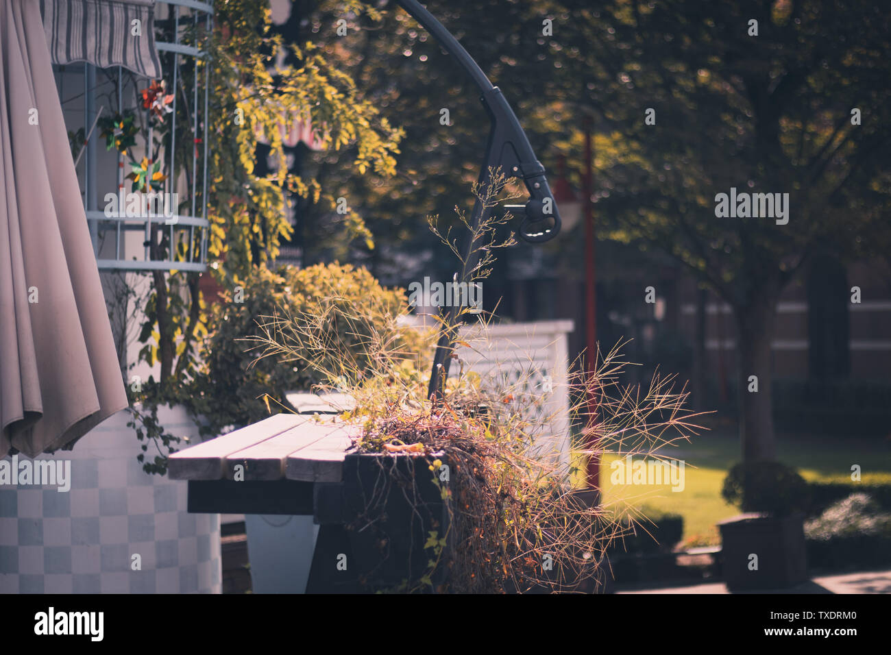 Morandi color hi-res stock photography and images - Alamy