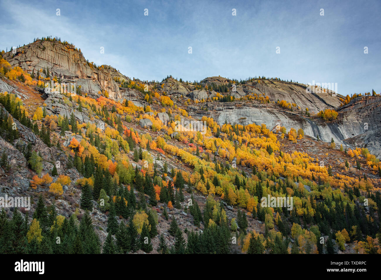 Spectacular alpine canyon Stock Photo - Alamy