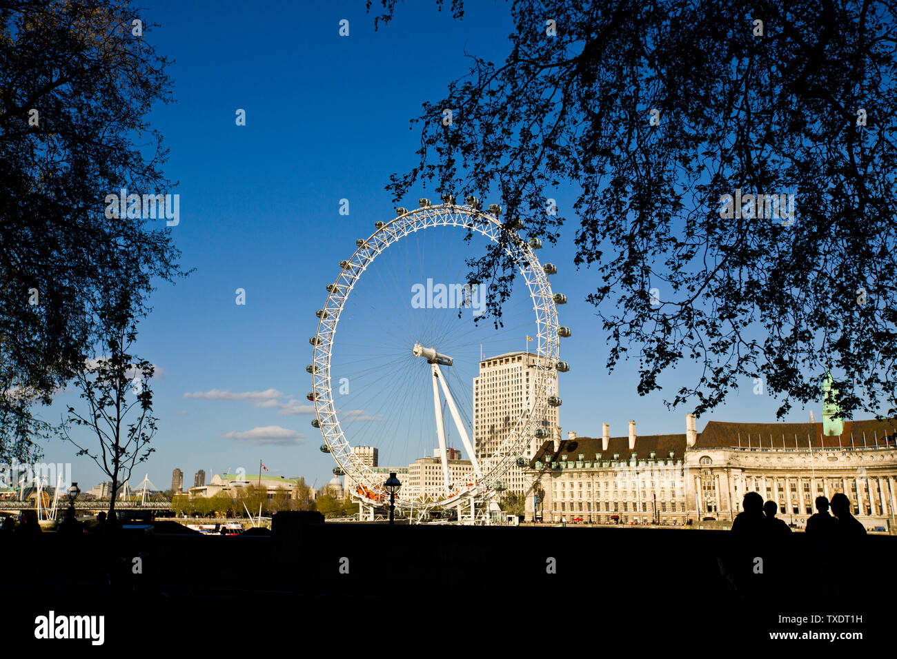 The Eye of London Stock Photo - Alamy