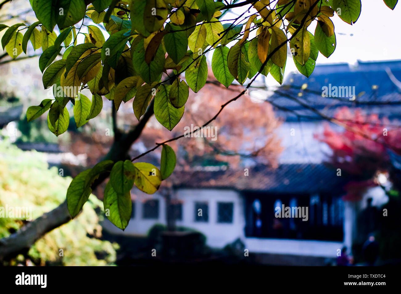 Autumn Color in Suzhou Garden Stock Photo - Alamy