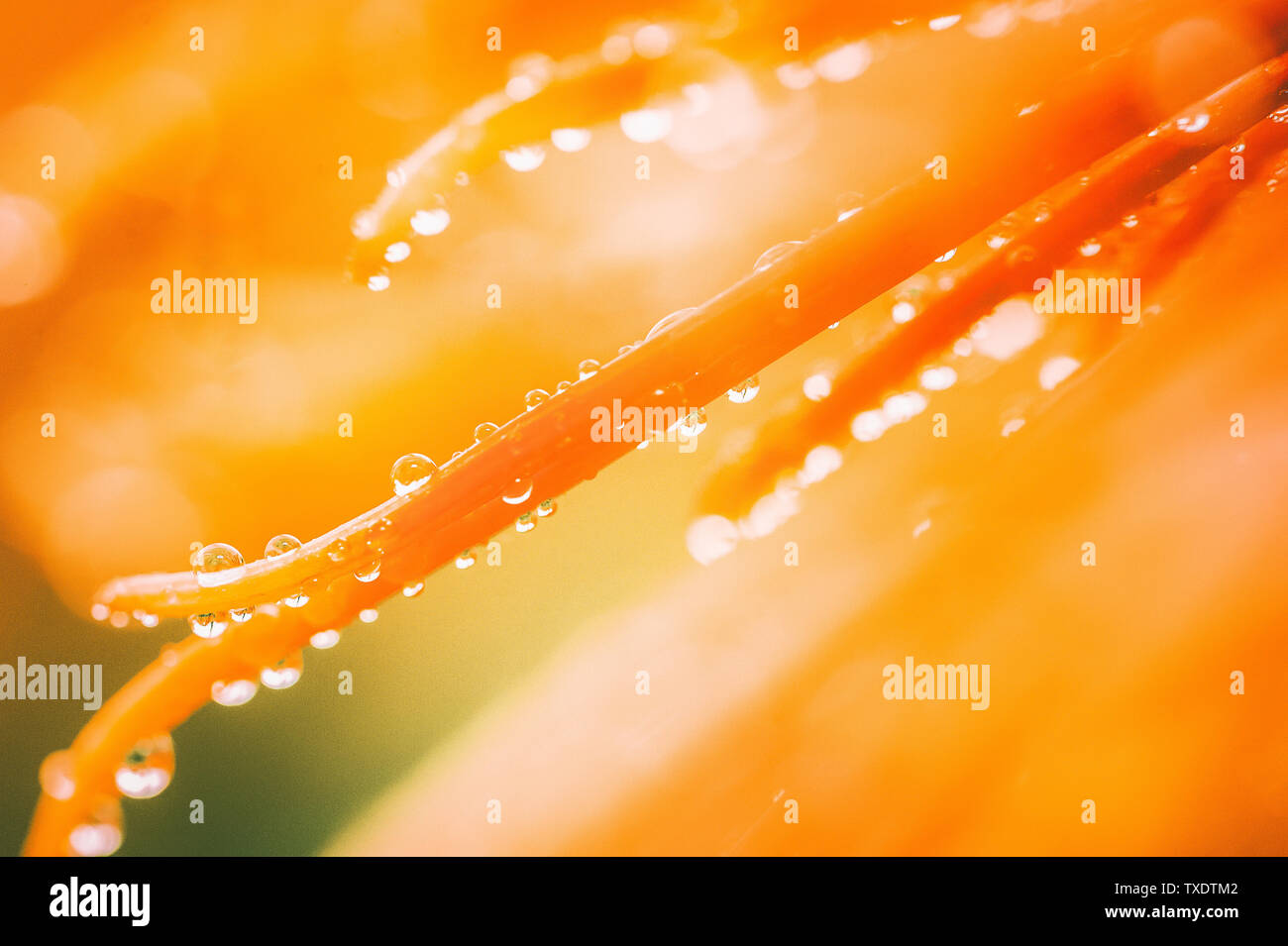 My life in photography Stock Photo - Alamy