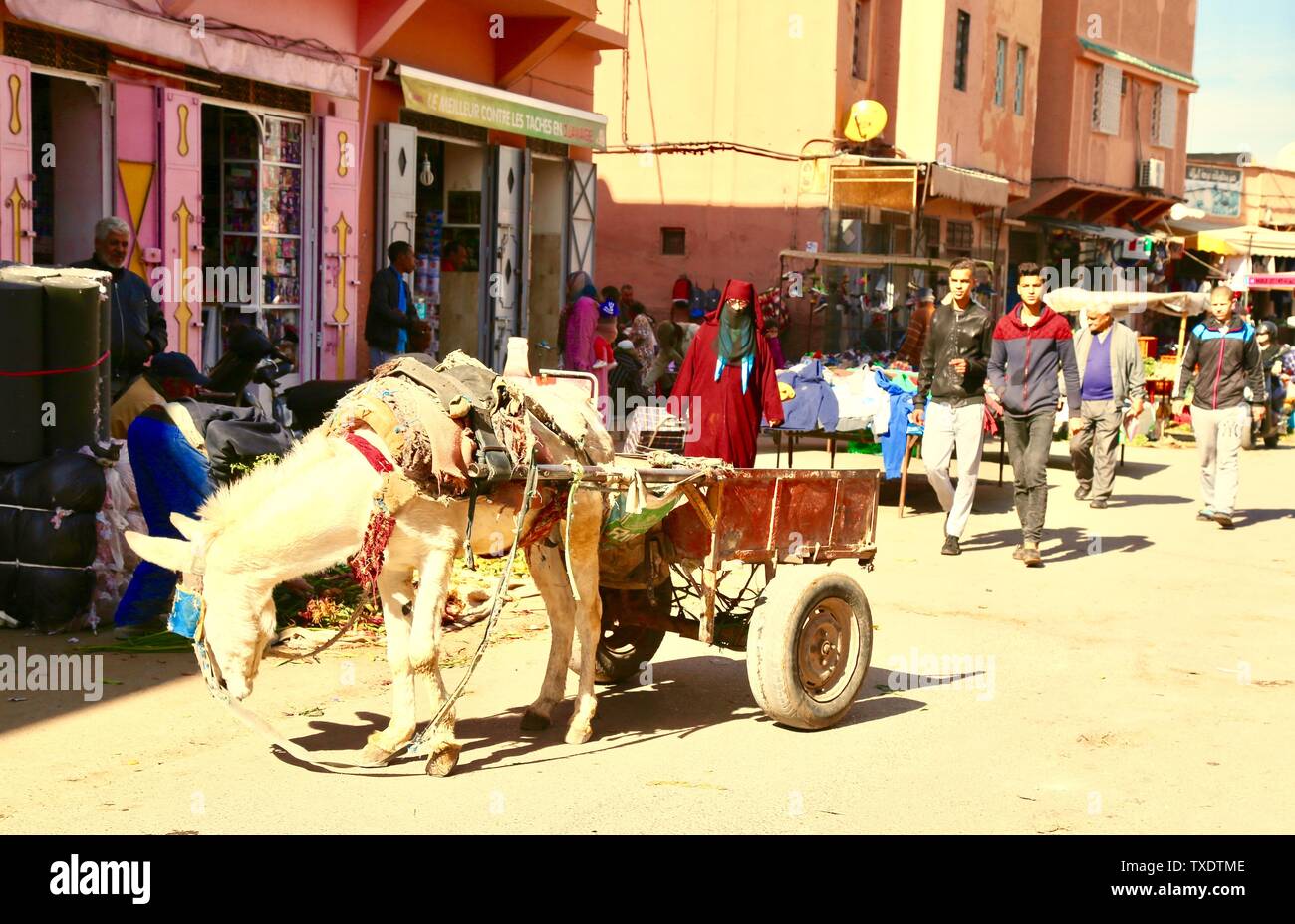 Gladiators tv hi-res stock photography and images - Alamy