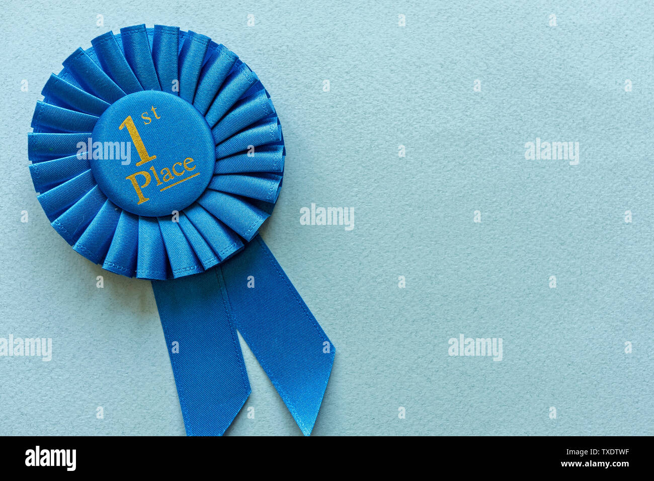 Champion or Winners 1st Place blue rosette with gold text on a light ...