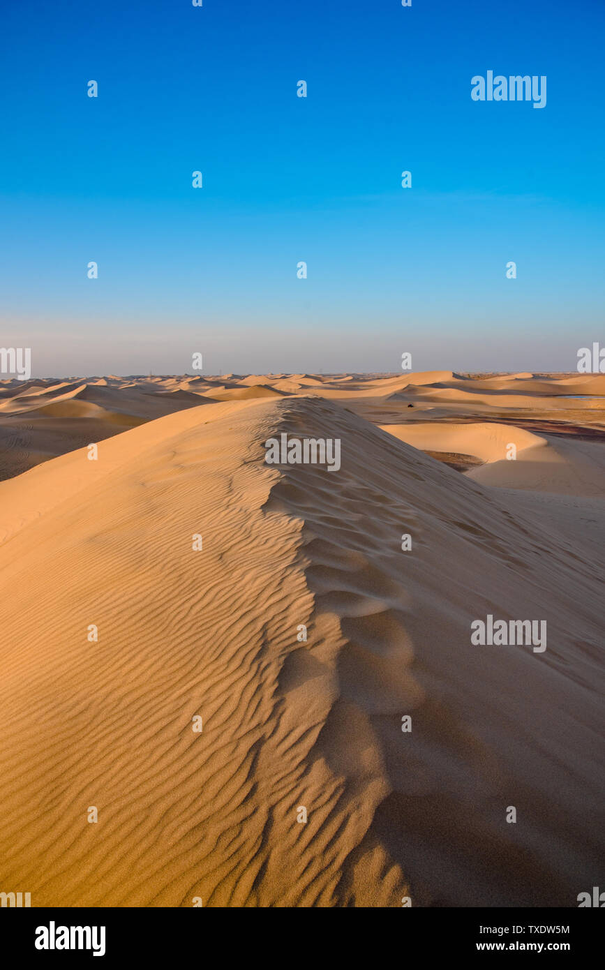 Eight Bridge in Hu Yang Lin Scenic Area of Alashan Desert, Alashan ...
