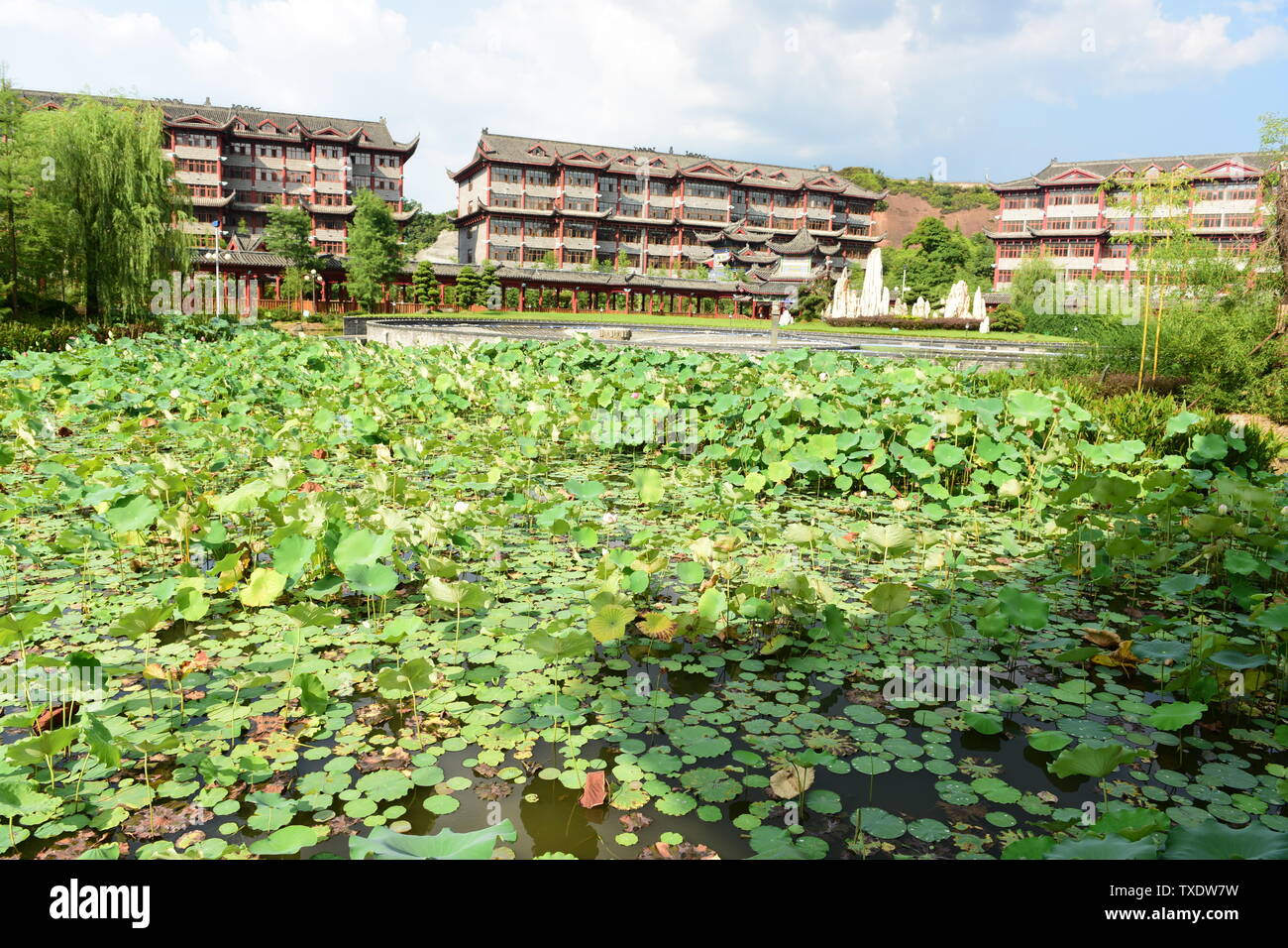 Antique architecture and lotus pavilion lotus Stock Photo - Alamy