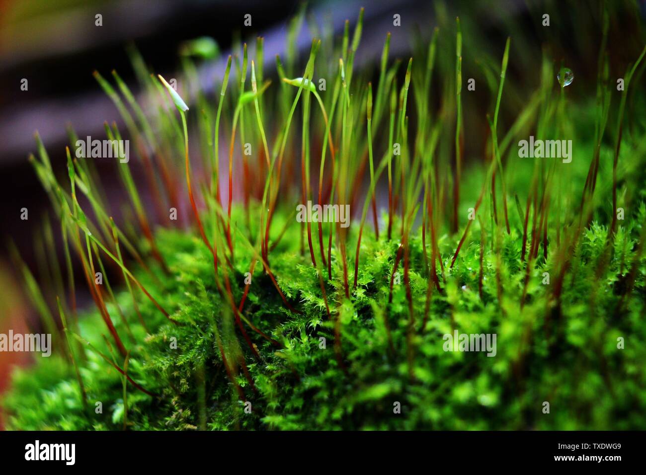 Grounding environment hi-res stock photography and images - Alamy