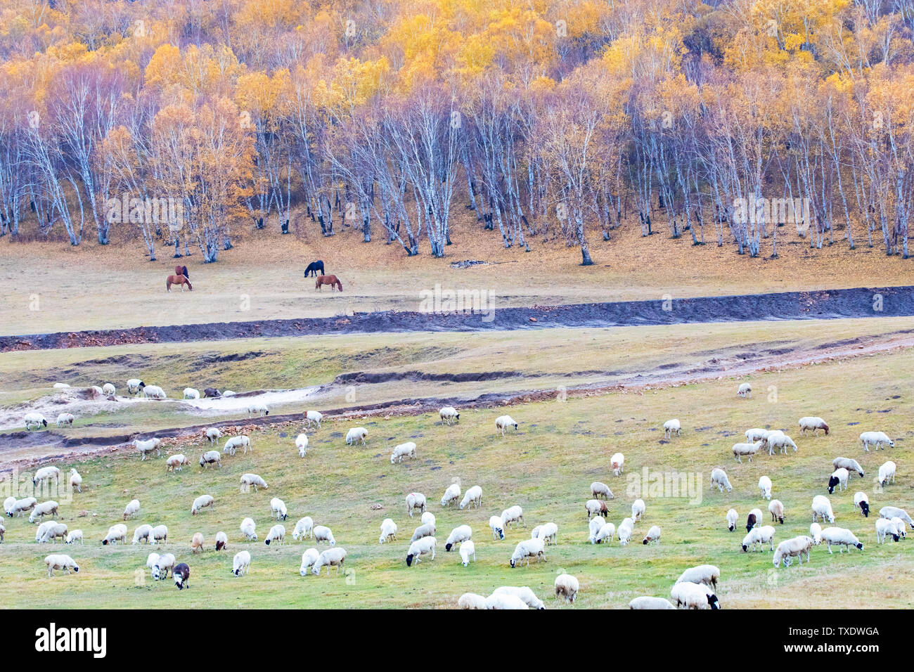 Autumn color on the dam Stock Photo - Alamy