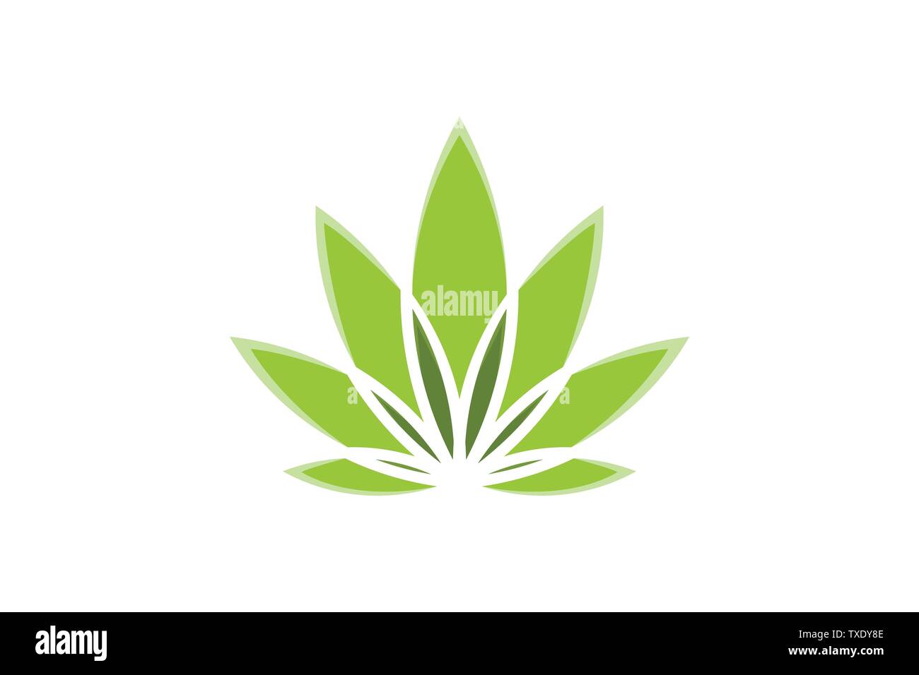 cannabis leaf logo Designs Inspiration Isolated on White Background ...
