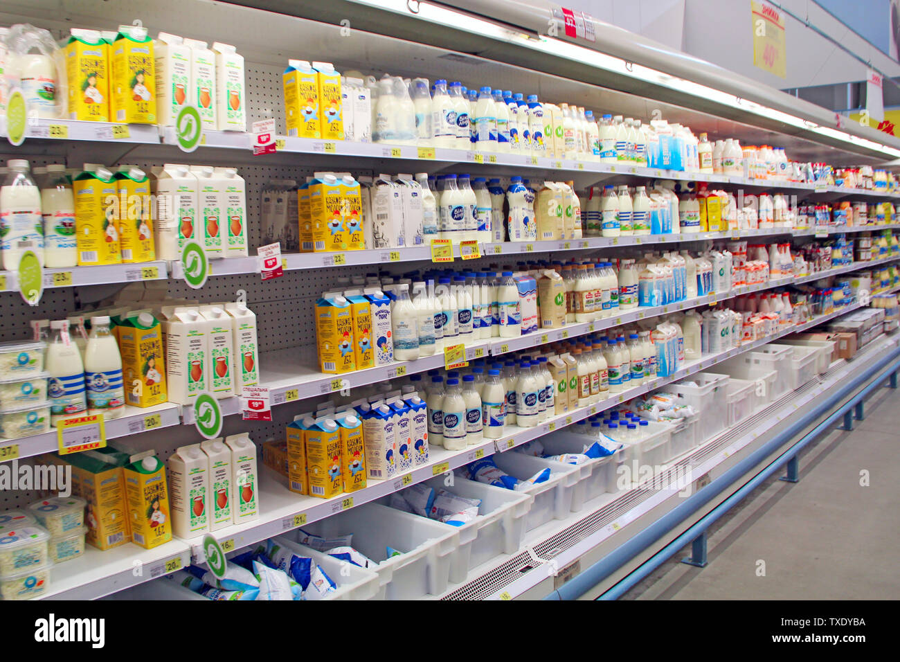 Milk yogurts and others dairy production on shelves of shop. Shop of ...