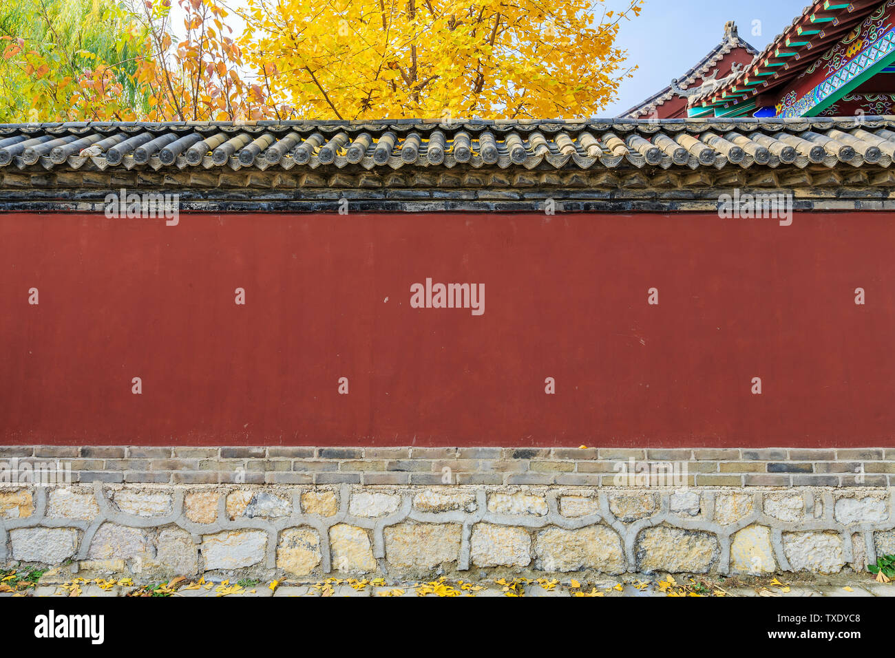 Autumn colors in the courtyard wall Stock Photo - Alamy