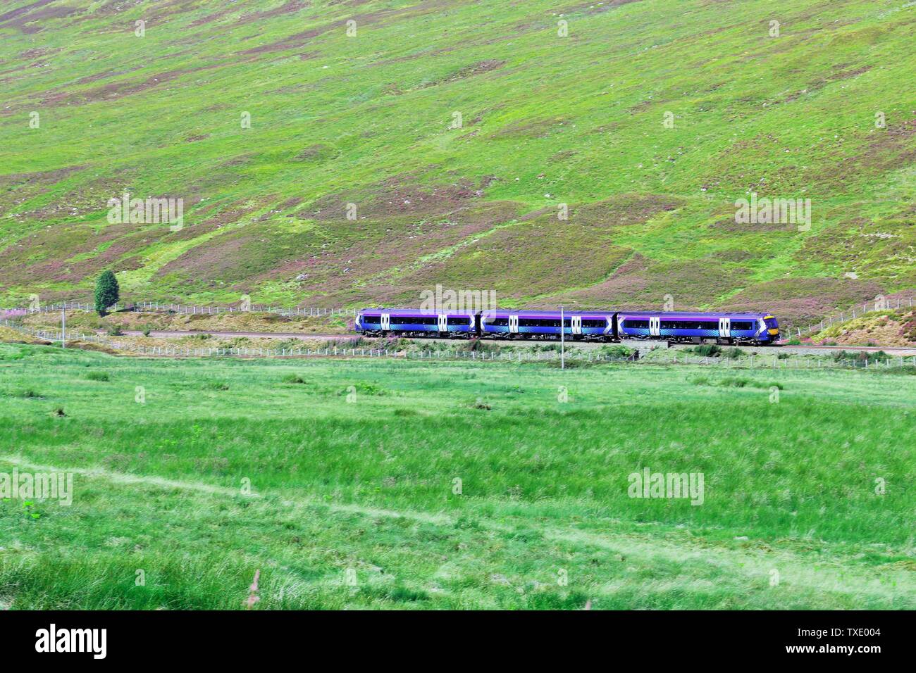 Do not cross railway line hi-res stock photography and images - Alamy