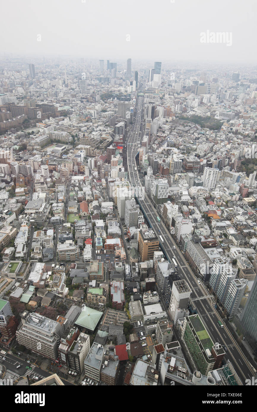 Panoramic view of the metropolis from a skyscraper window. Japan Stock ...