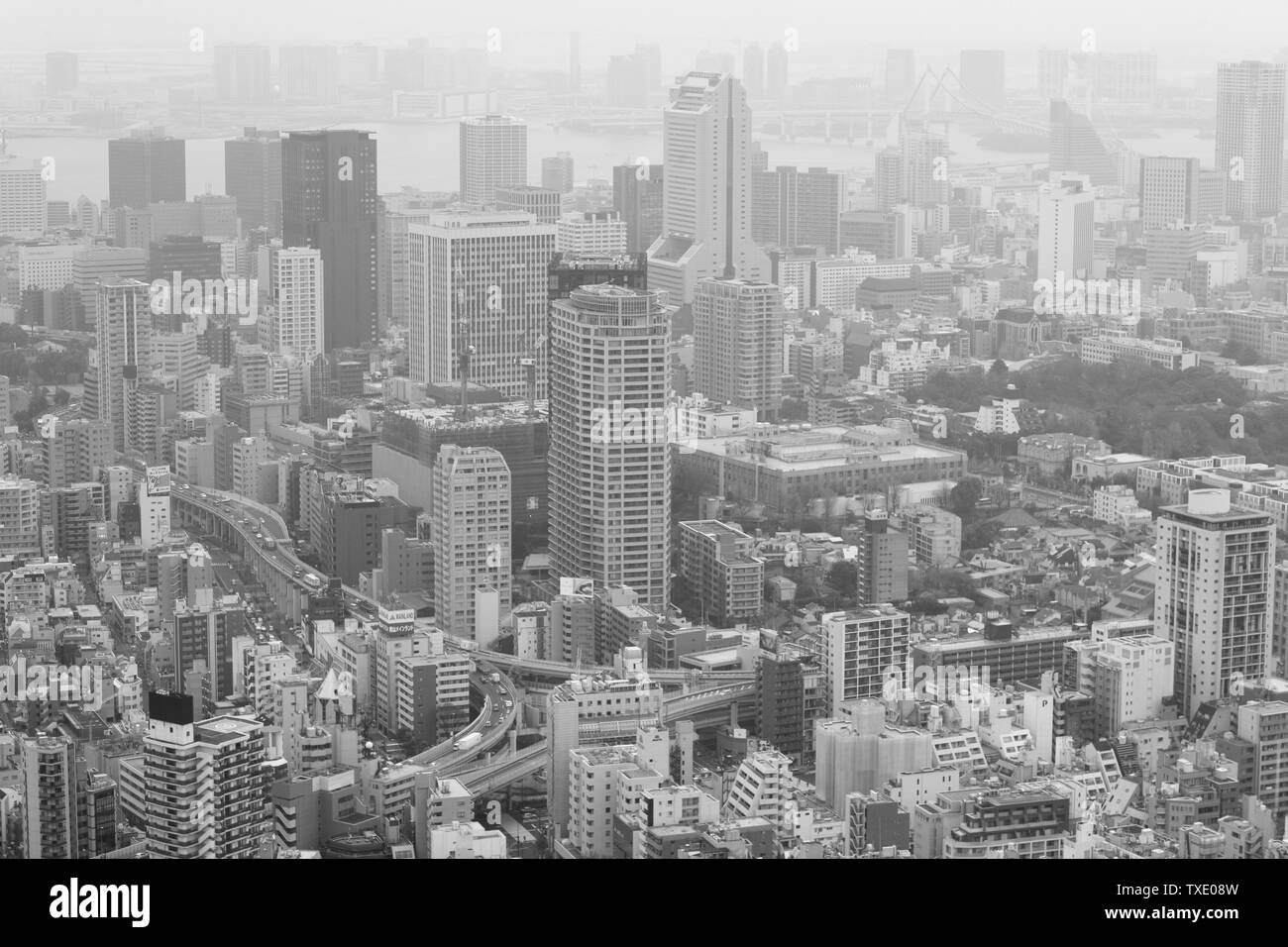 Panoramic view of the metropolis from a skyscraper window. Japan Stock ...
