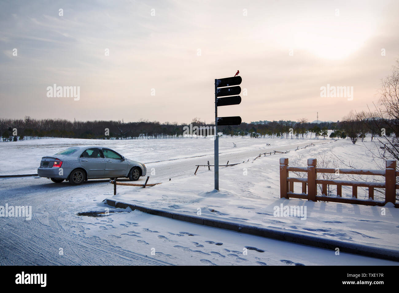 A car at the snowy intersection Stock Photo - Alamy