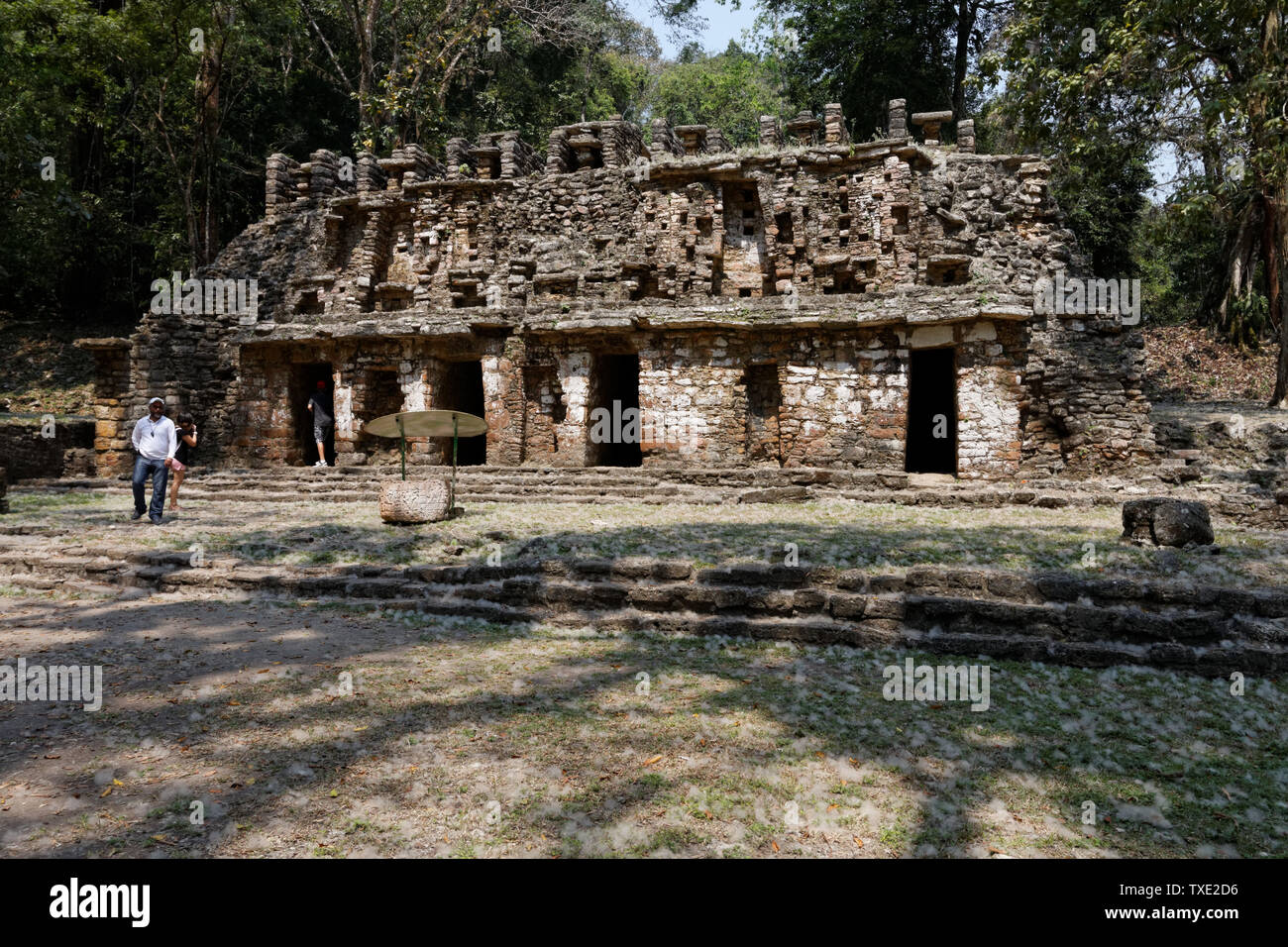 Day trip to Yaxilan, ruins of Maya city in th ejungle Stock Photo - Alamy