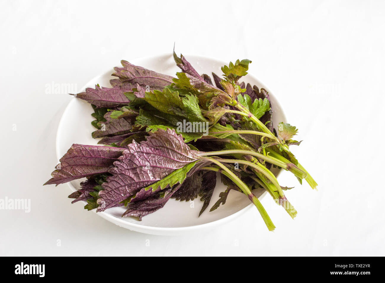 Perilla stir fried snails hi-res stock photography and images - Alamy