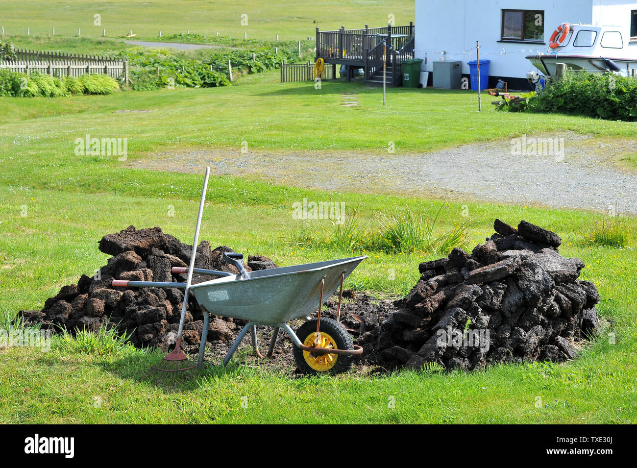 Drying peat cut slabs being transported for open fire burning in the ...