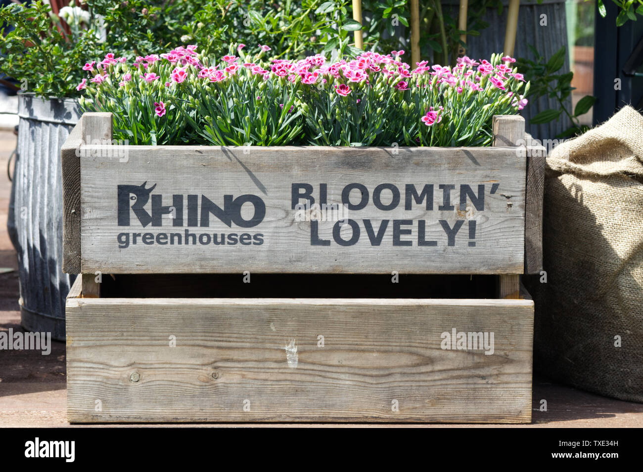 Bloomin lovely, wooden flower pots Stock Photo - Alamy