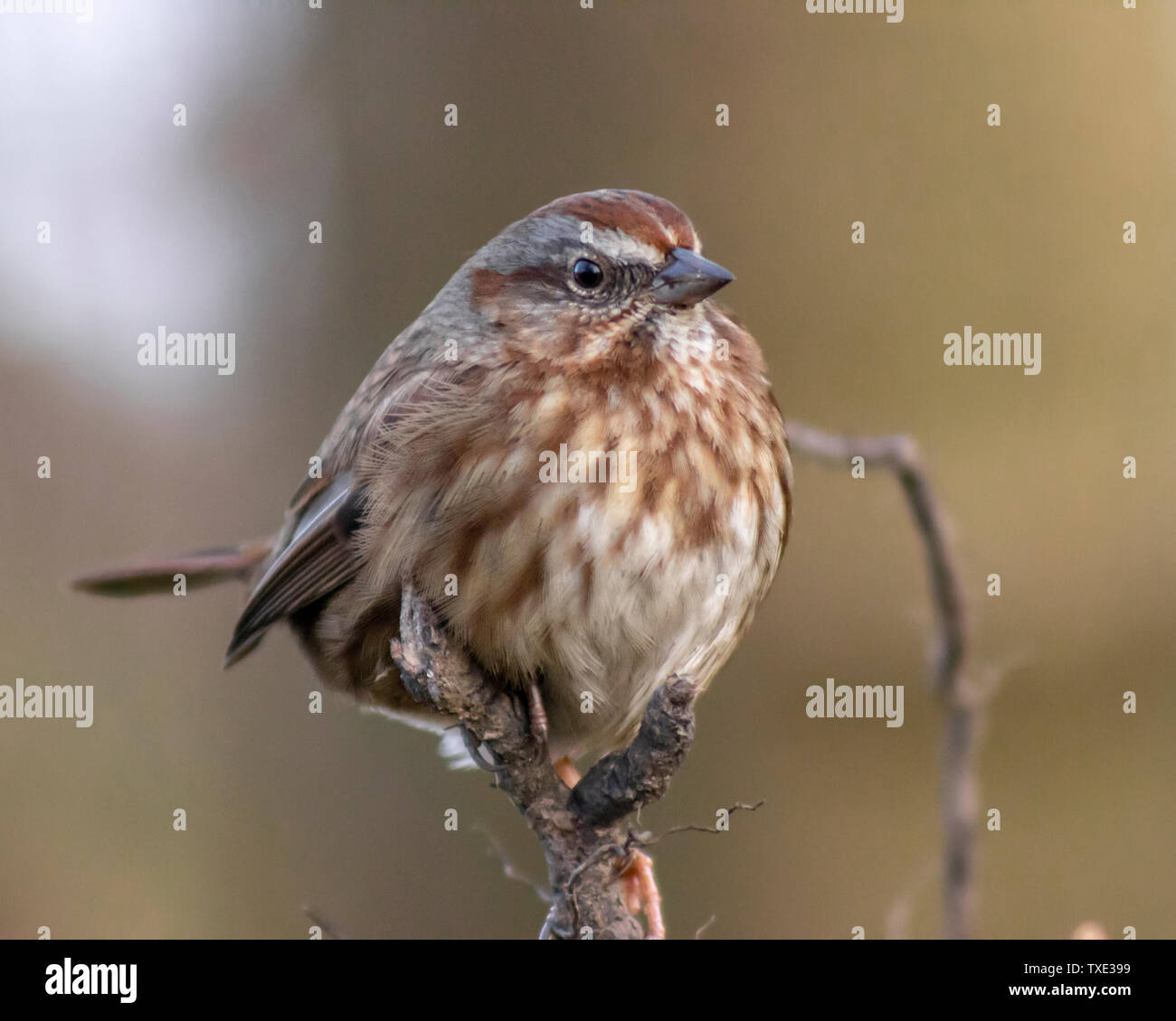 Picture of lagoon hi-res stock photography and images - Alamy