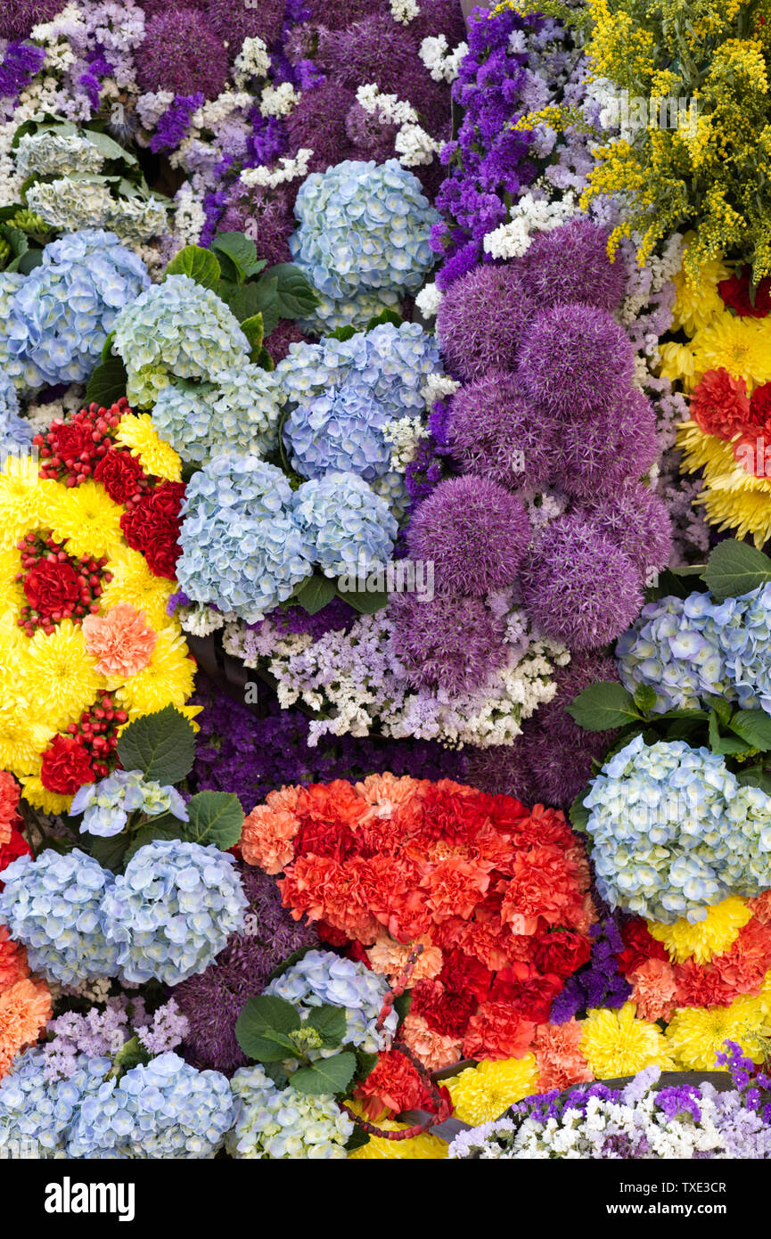 Under the sea, flower floral design,along the kings road in Chelsea ...