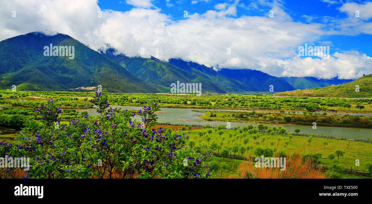 Tibet farms hi-res stock photography and images - Alamy
