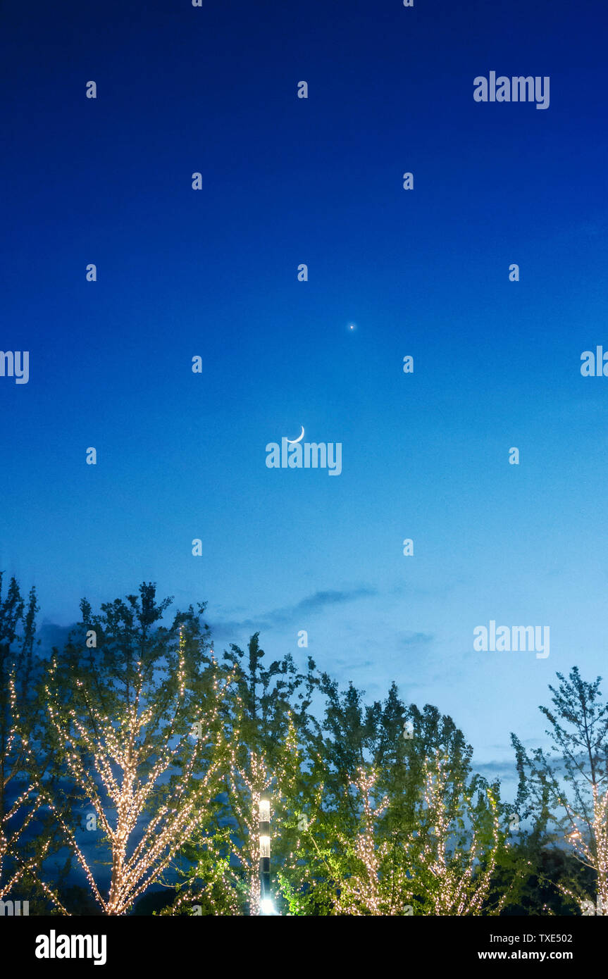 Brightest stars in the night sky hi-res stock photography and images ...