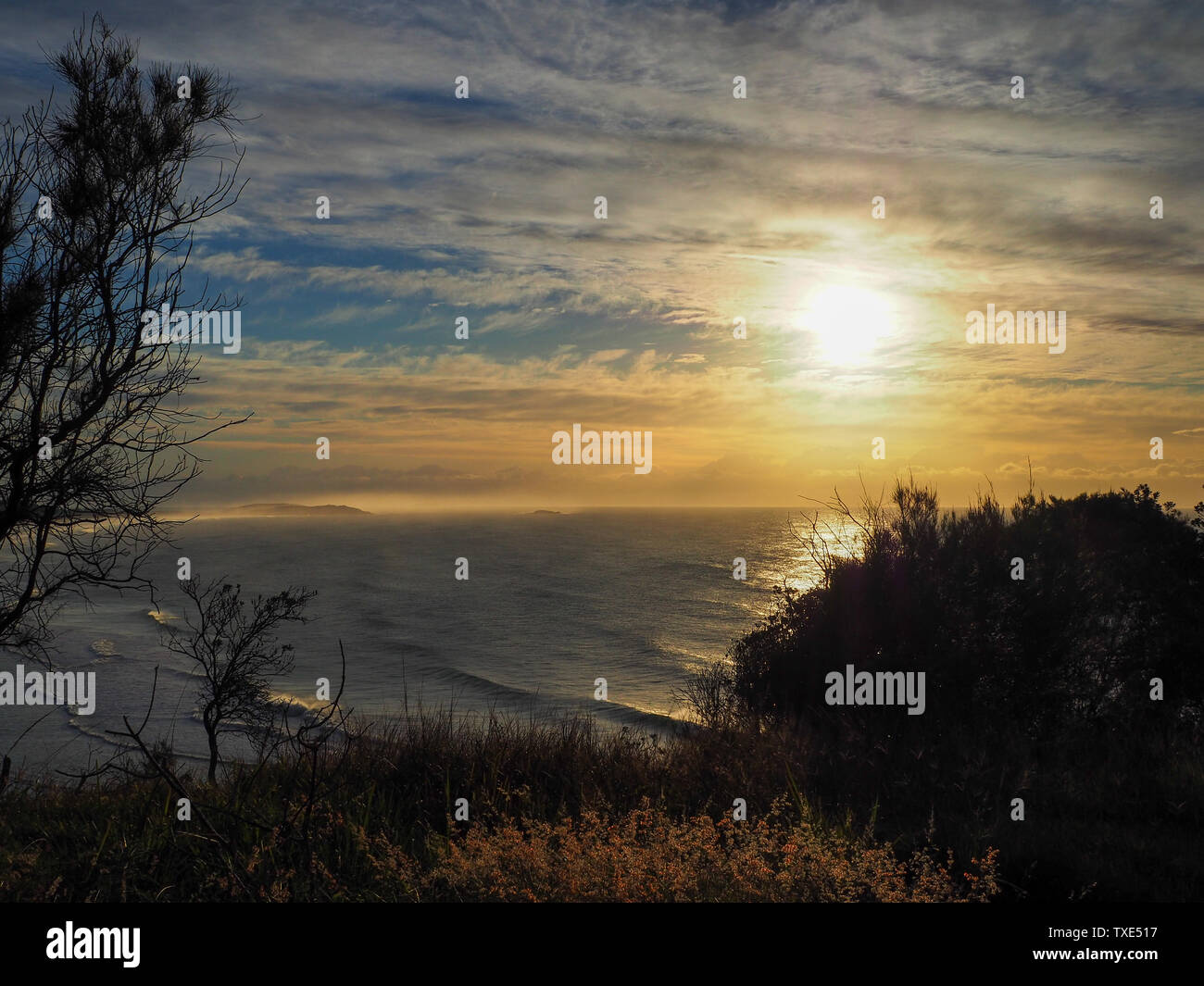 Morning glory, serene sunrise over the misty beach and Pacific Ocean ...