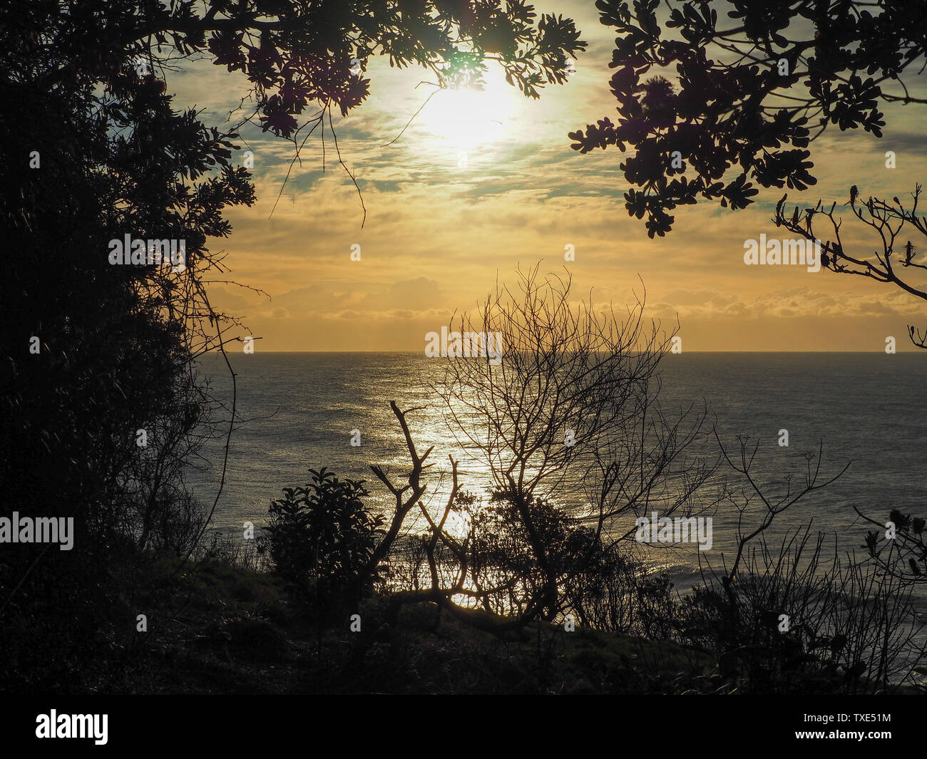 Seaside morning glory hi-res stock photography and images - Alamy