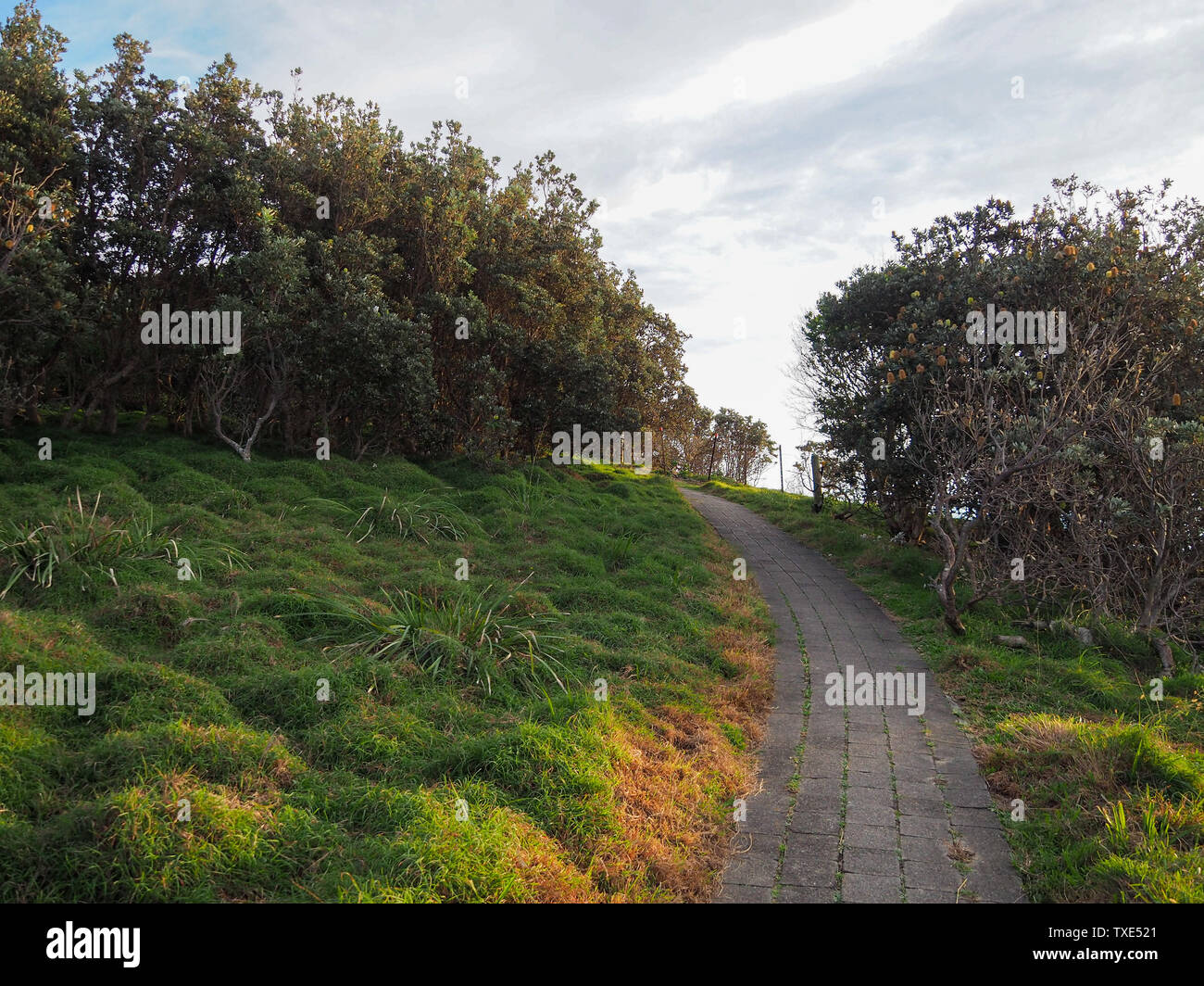 Pathway along headland, steep and hilly, Australia Stock Photo - Alamy