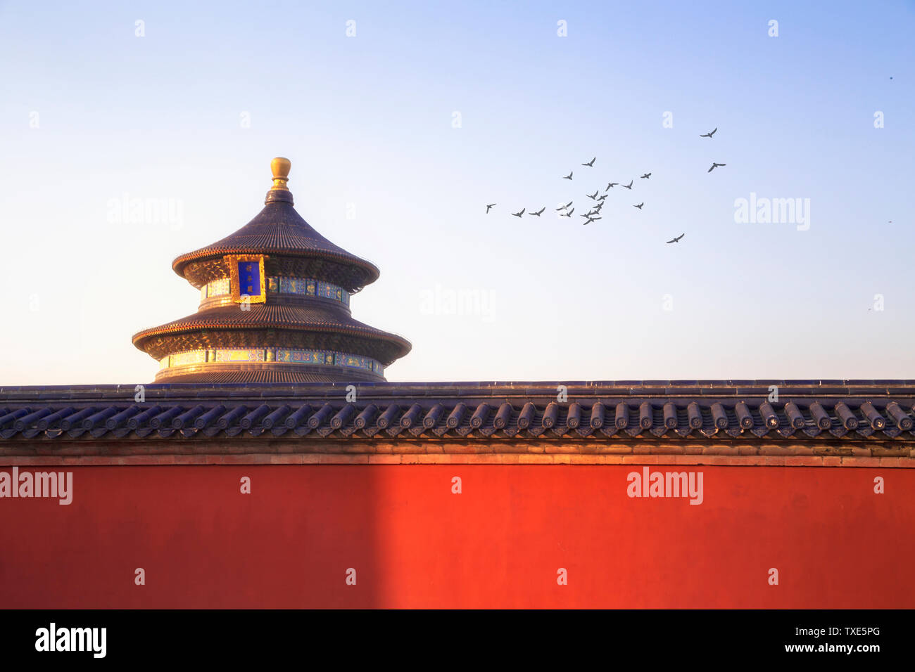 Beijing Temple of Heaven Red Wall Flying Birds Stock Photo - Alamy