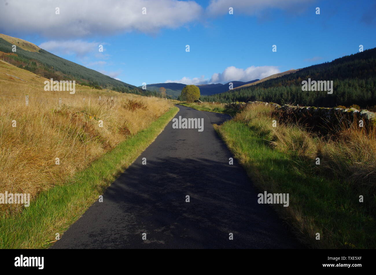 The Loch Lomond and Cowal Way. Cowal peninsula. Highlands. Scotland. UK ...