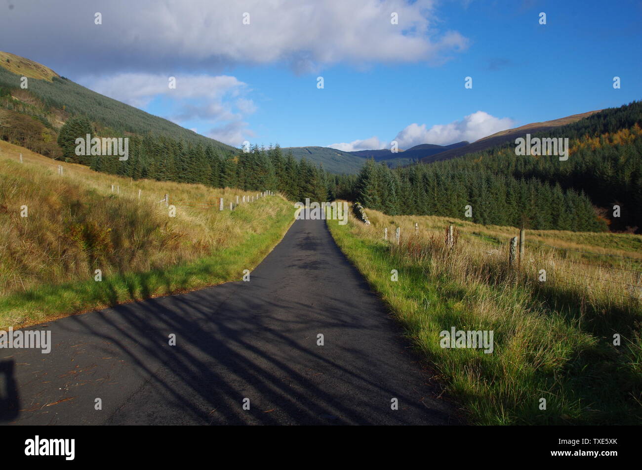 The Loch Lomond and Cowal Way. Cowal peninsula. Highlands. Scotland. UK ...