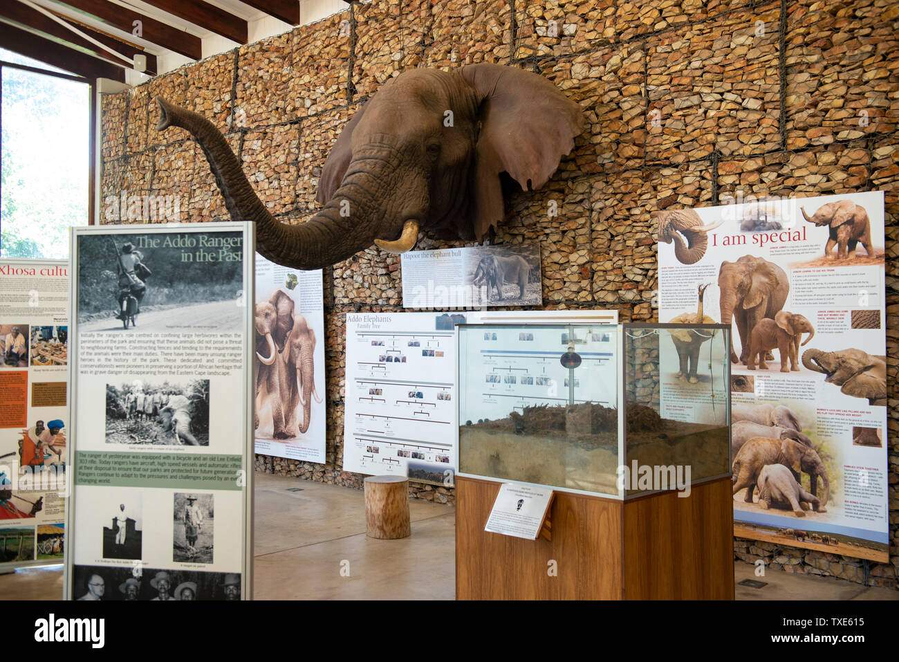 Interpretation Centre, Addo Elephant National Park, South Africa Stock ...