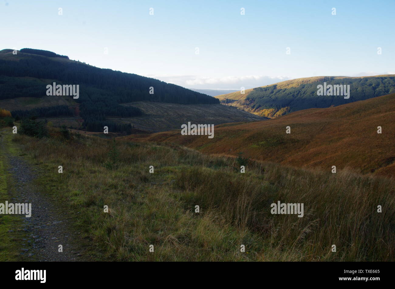 The Loch Lomond and Cowal Way. Cowal peninsula. Highlands. Scotland. UK ...