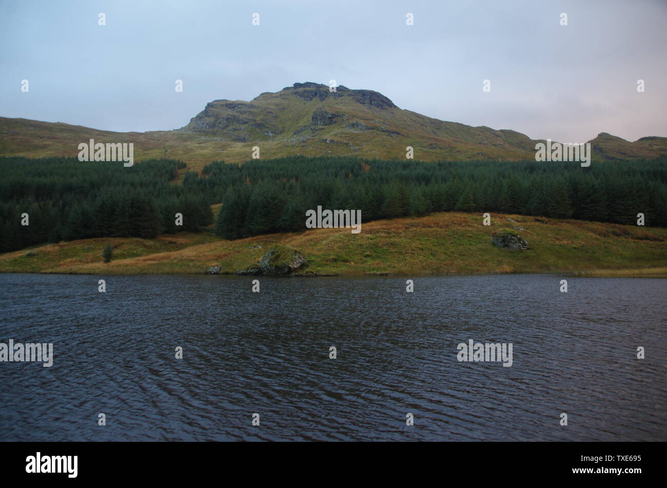 The Loch Lomond and Cowal Way. Cowal peninsula. Highlands. Scotland. UK ...