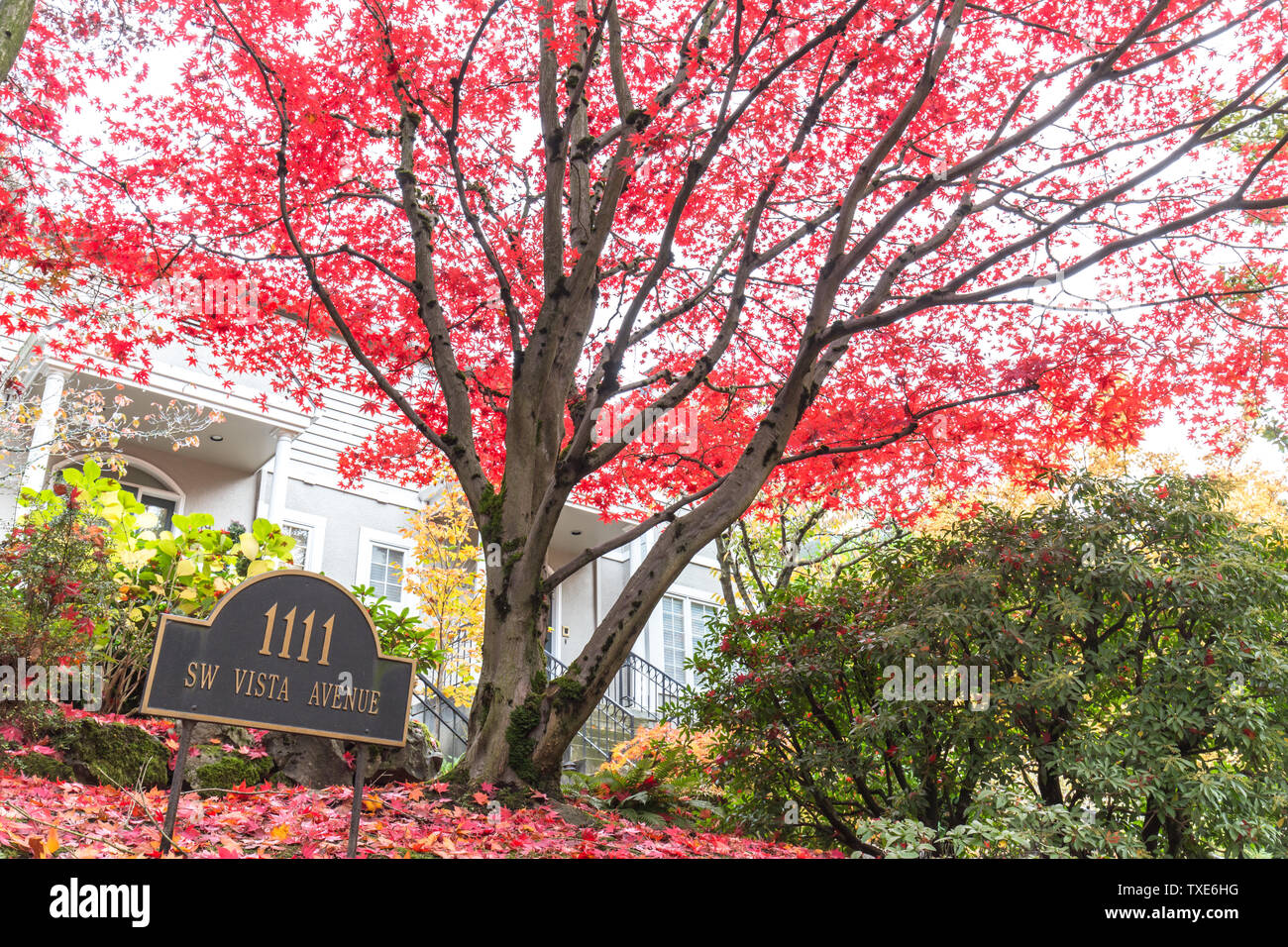 Red avenue hi-res stock photography and images - Alamy