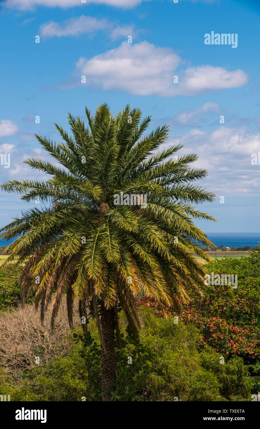 Mauritius tours hi-res stock photography and images - Alamy