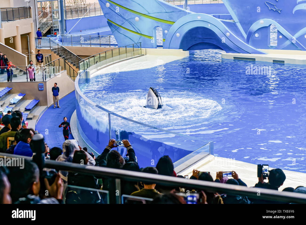 Luxury swimming pool shanghai hi-res stock photography and images - Alamy