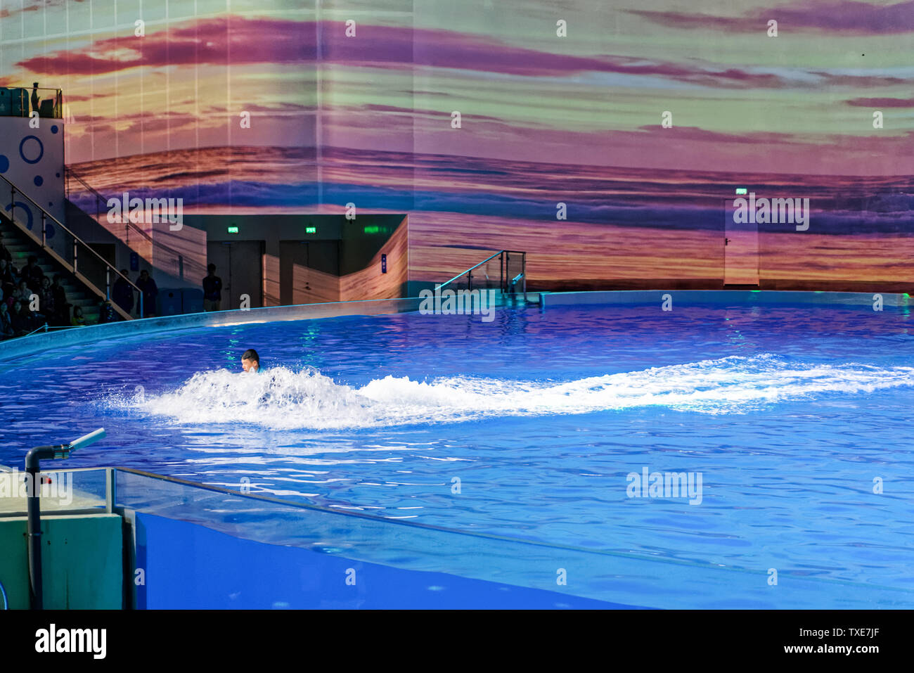 Shanghai Haichang Ocean Park Dolphin Museum Stock Photo - Alamy