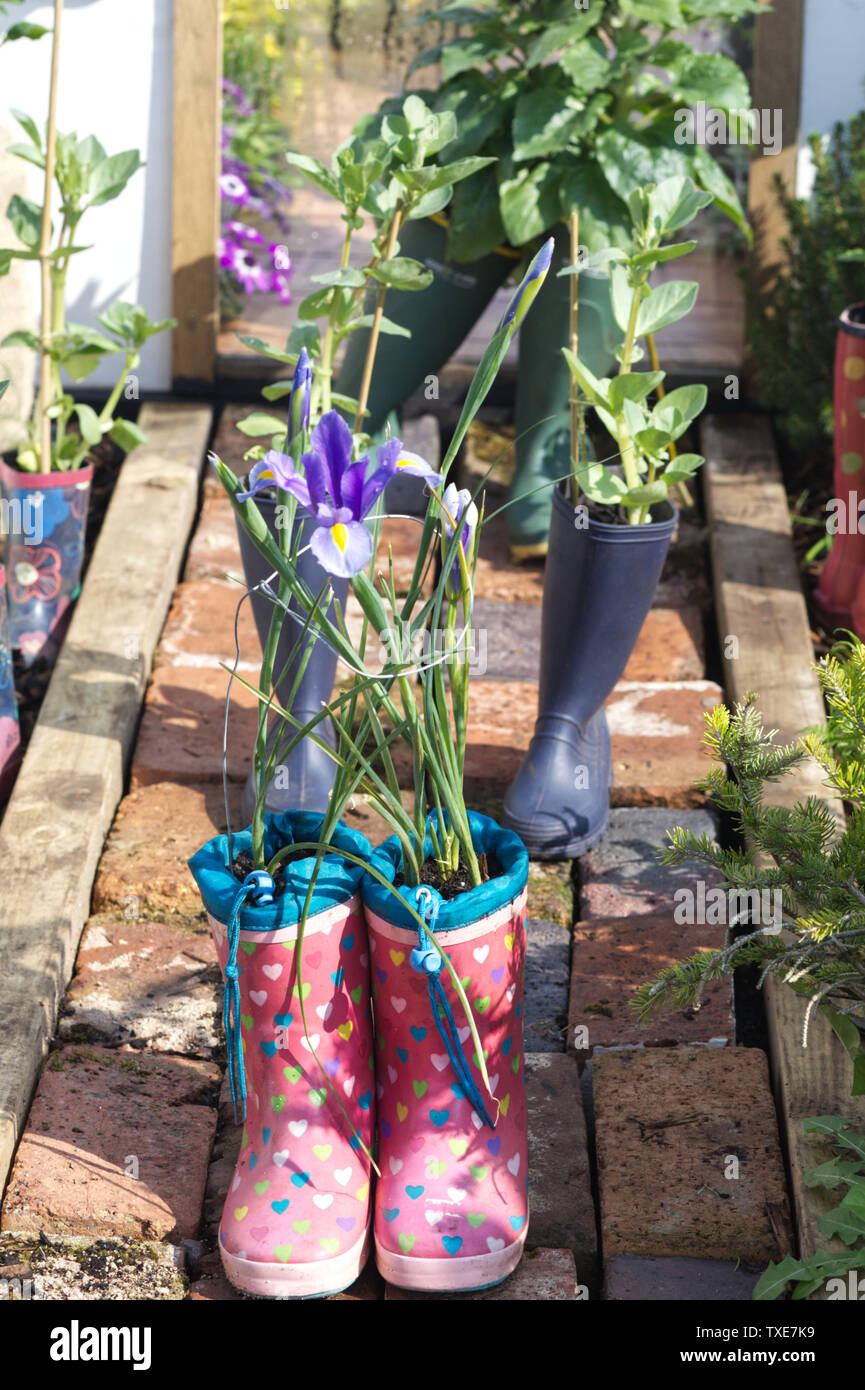 Flower pots on a brick pathway hi-res stock photography and images - Alamy