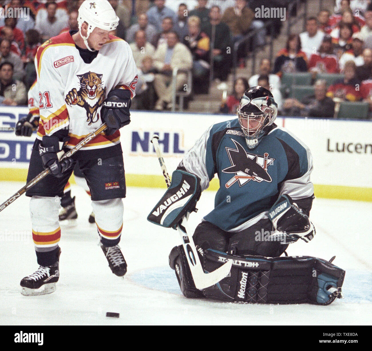 Steve shields hi-res stock photography and images - Alamy